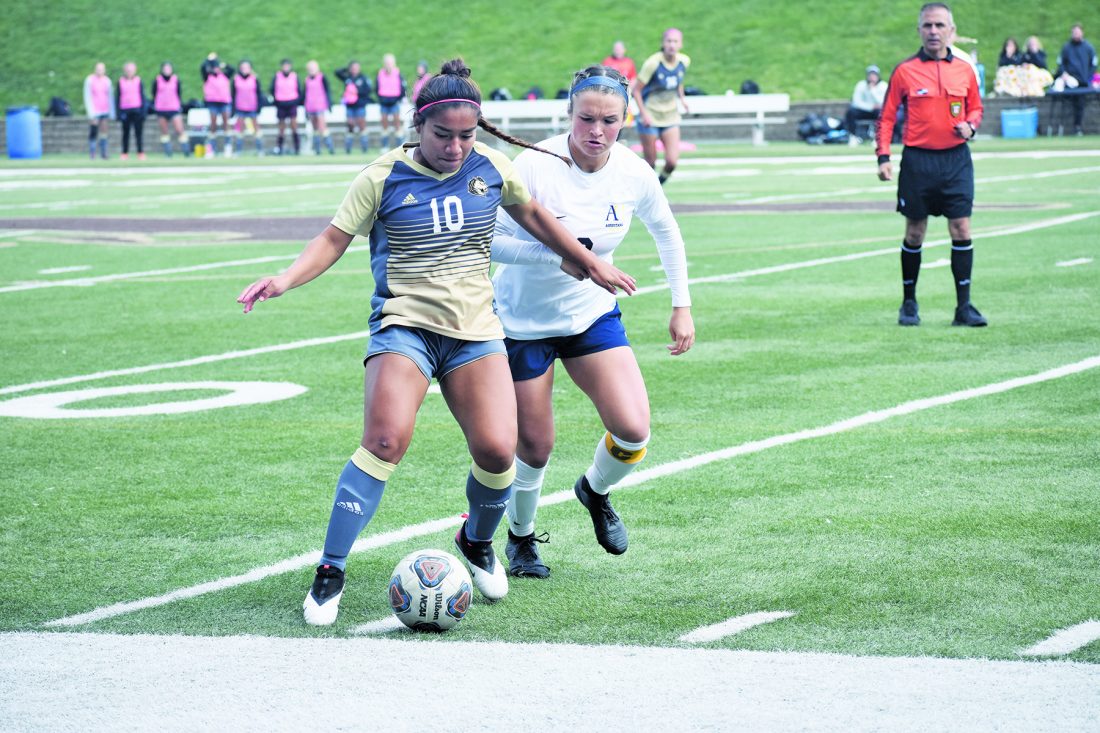 SMSU SOCCER: SMSU drops match to Augustana, 2-0 | News, Sports, Jobs ...